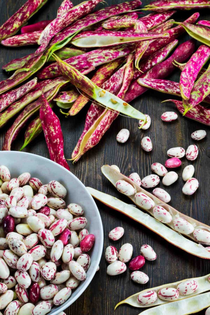 Types of Beans 🫘 A-to-Z | Photos - Butter N Thyme