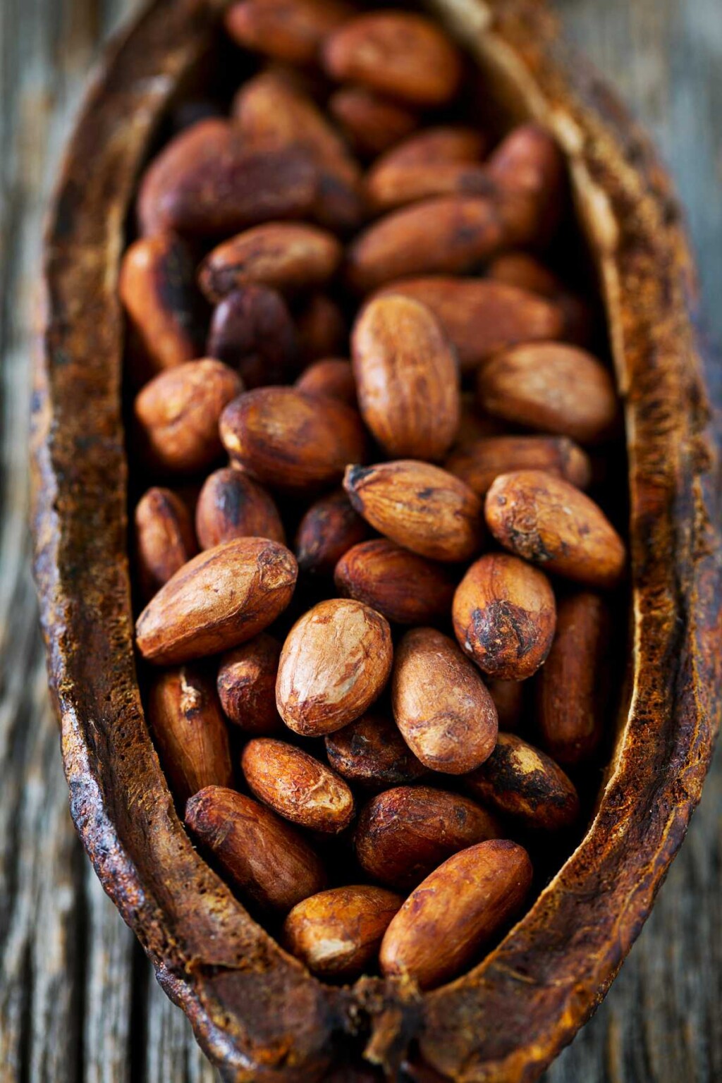 Types of Beans 🫘 A-to-Z | Photos - Butter N Thyme