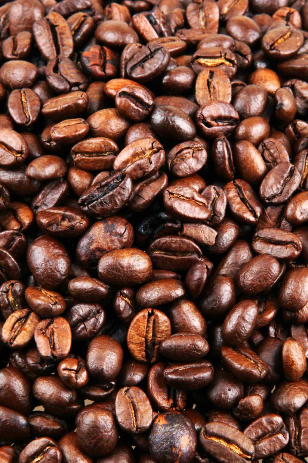 Types of Beans 🫘 A-to-Z | Photos - Butter N Thyme