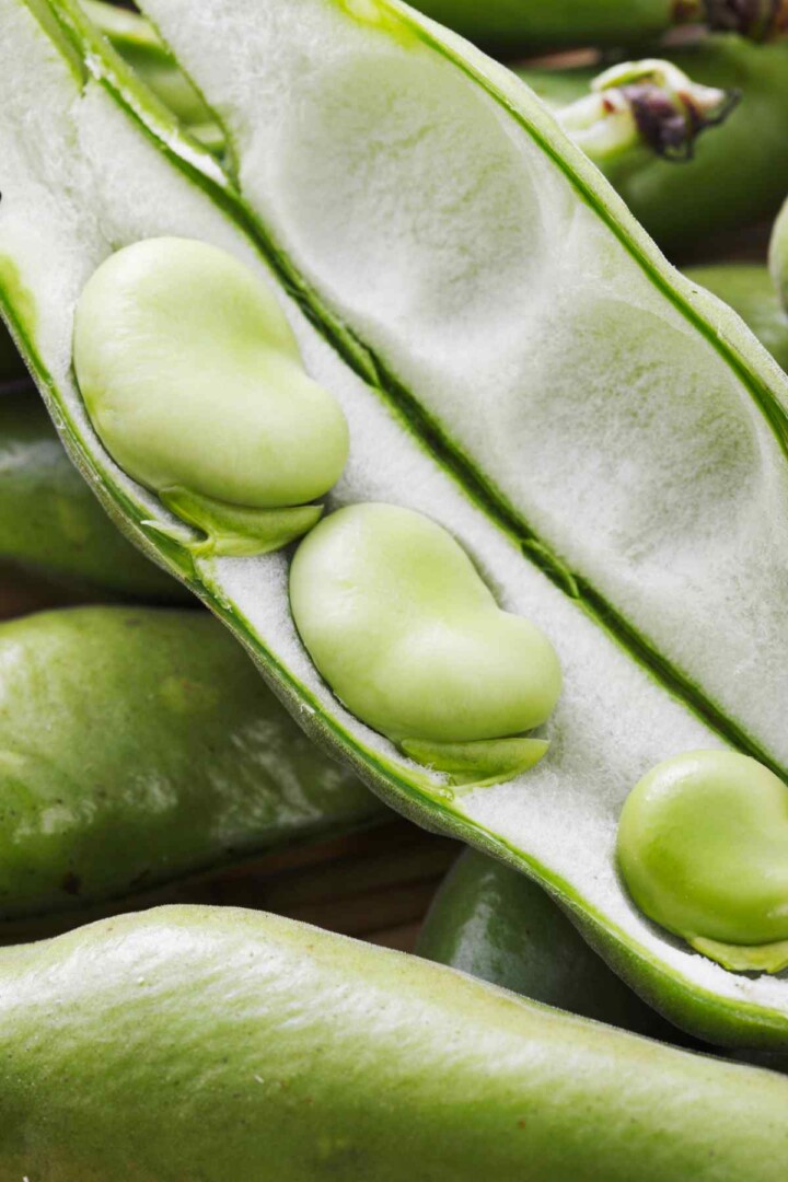 Types of Beans 🫘 A-to-Z | Photos - Butter N Thyme