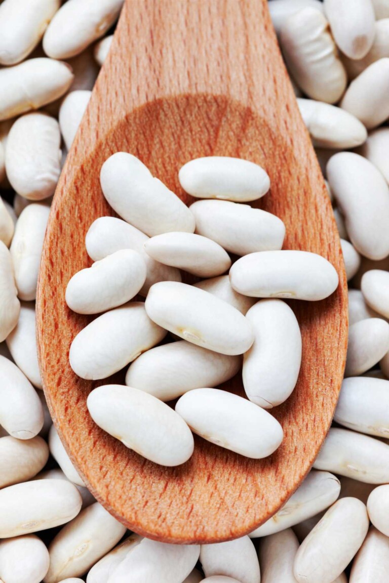 Types of Beans 🫘 A-to-Z | Photos - Butter N Thyme