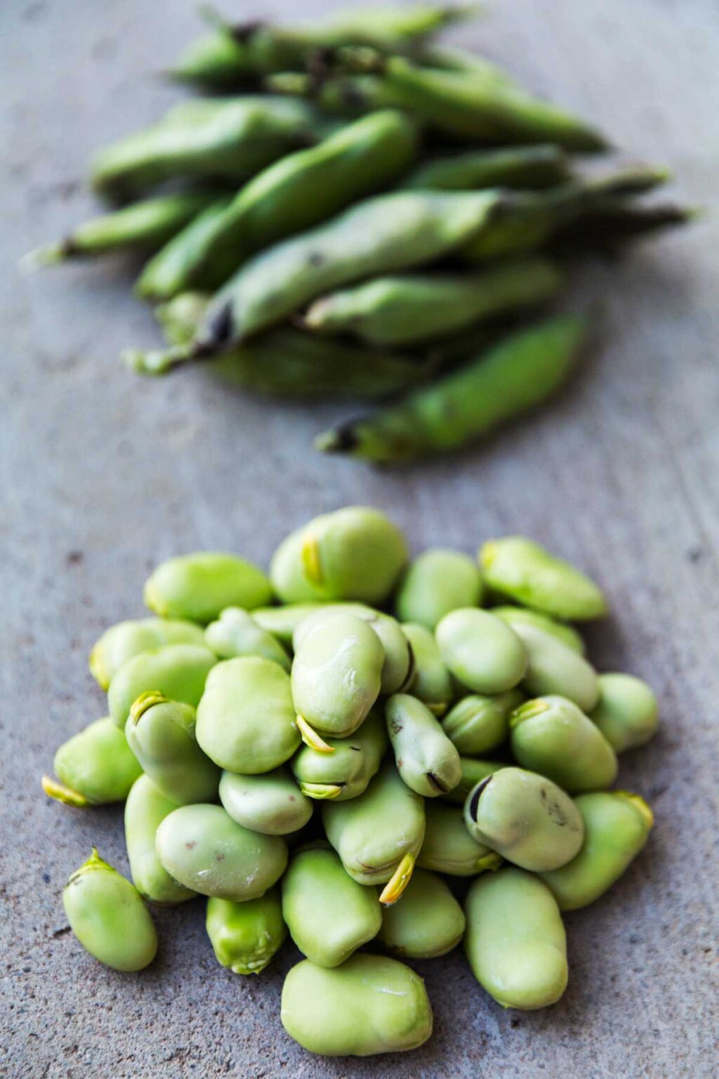 Types Of Beans 🫘 A-to-Z | Photos - Butter N Thyme