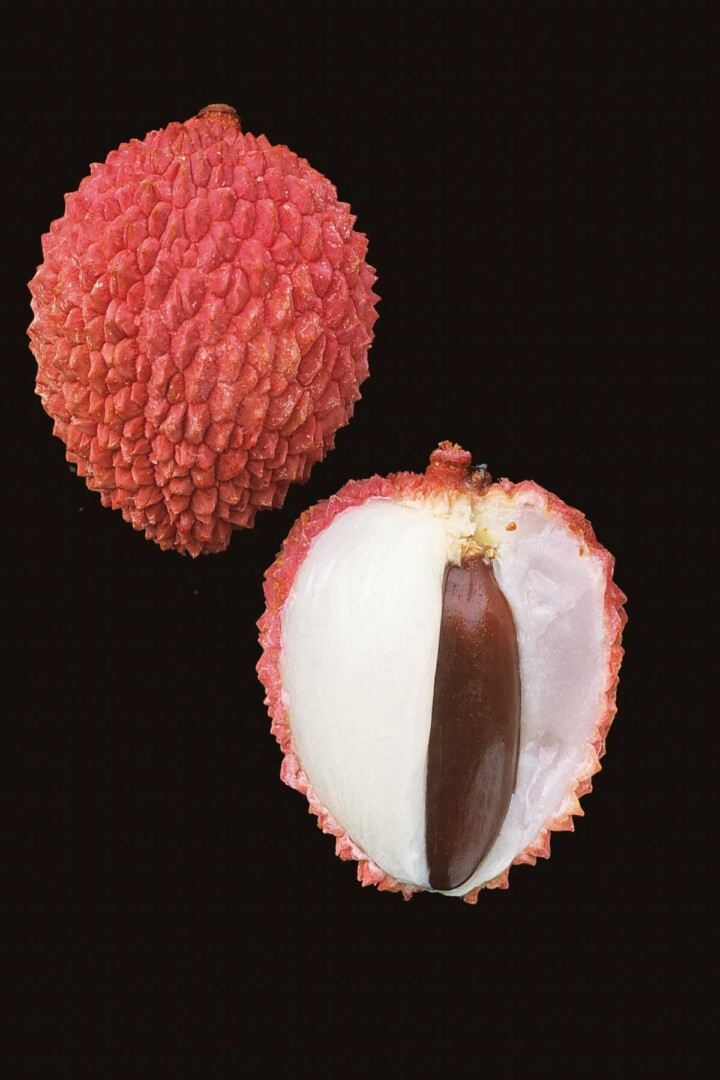 10 Types of Lychee | A-to-Z | Photos
