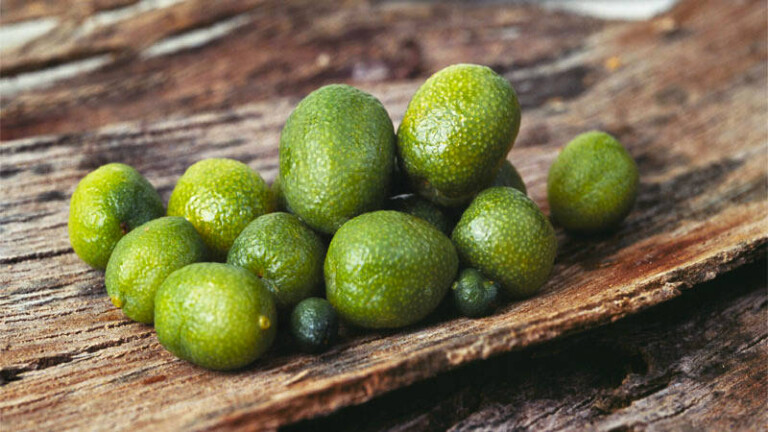Types of Limes | A-to-Z | Defined | Photos - Butter N Thyme