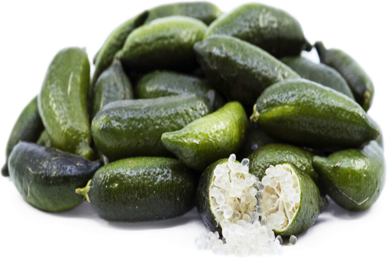 Types of Limes | A-to-Z | Defined | Photos - Butter N Thyme