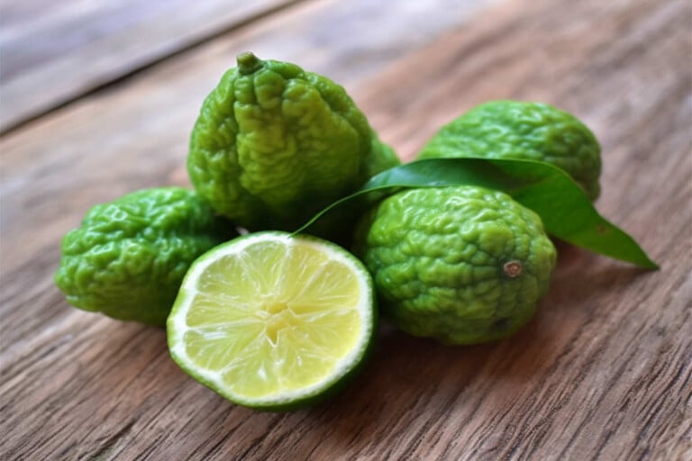 Types of Limes | A-to-Z | Defined | Photos - Butter N Thyme