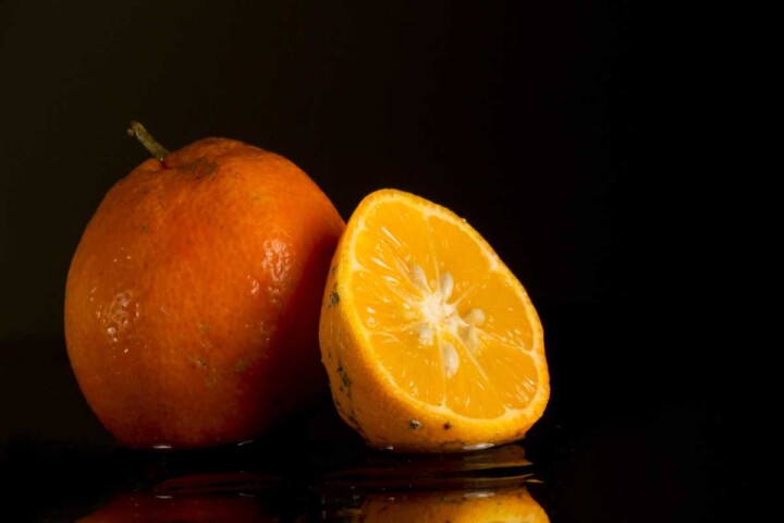 Types of Limes | A-to-Z | Defined | Photos - Butter N Thyme