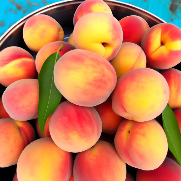 50 Types of Peaches: 🍑 A-to-Z (+Photos) - Butter N Thyme