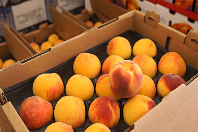 50 Types of Peaches: 🍑 A-to-Z (+Photos) - Butter N Thyme