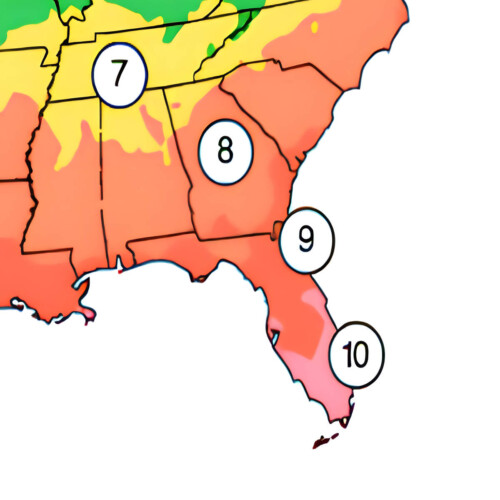 When Is Tomato Season? Hardizone Chart - Butter N Thyme