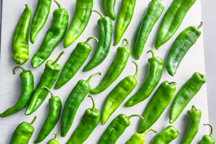 Types of Hatch Chiles: (A-to-Z) Photos - Butter N Thyme