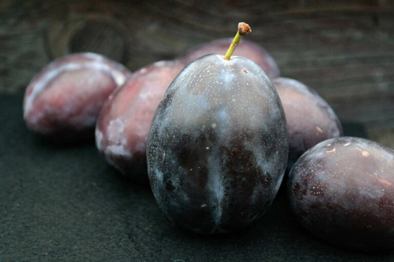 48 Types of Plums: (A-to-Z) Photos - Butter N Thyme