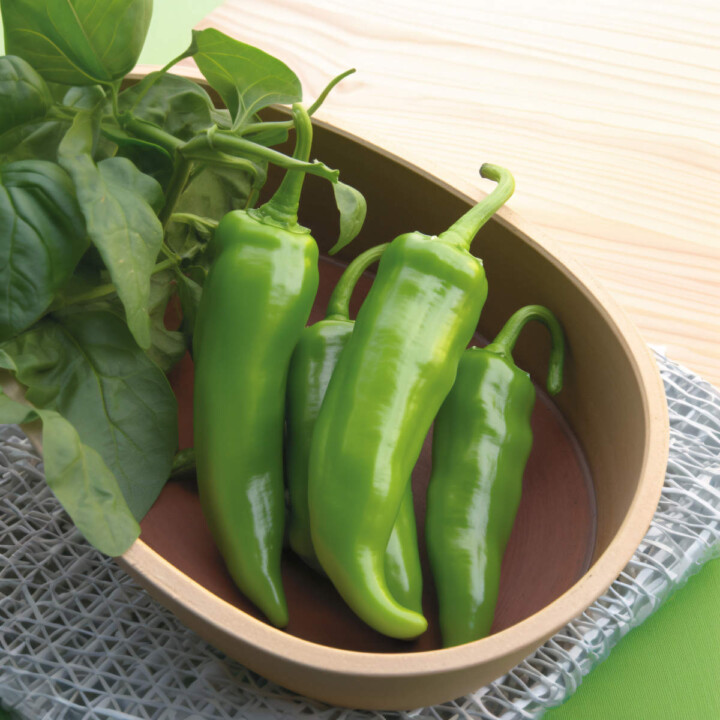 Types of Hatch Chiles: (A-to-Z) Photos - Butter N Thyme