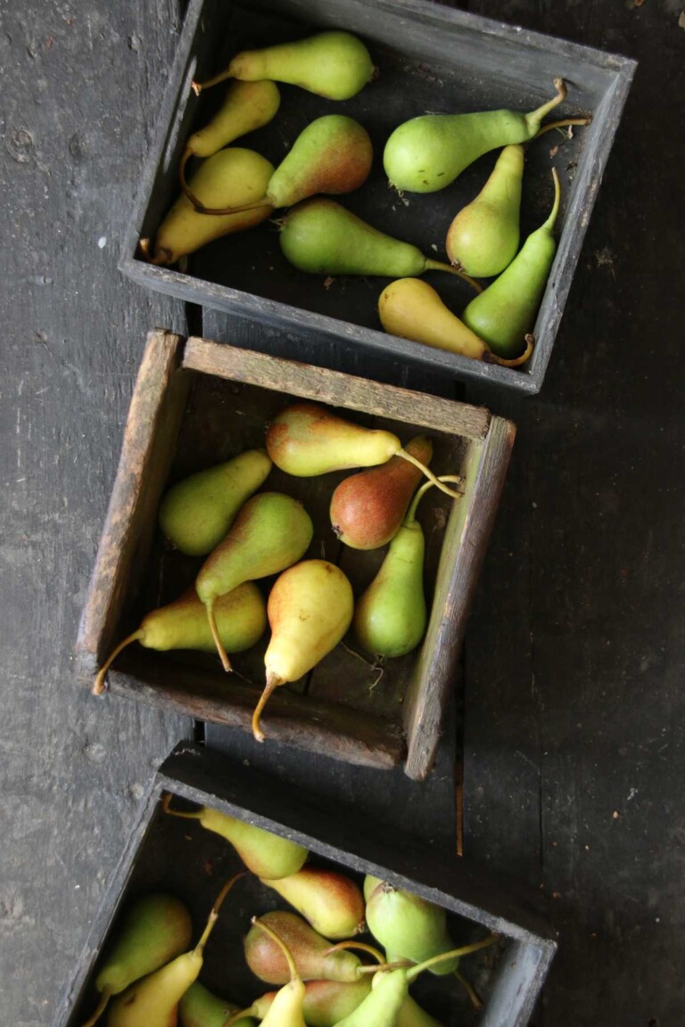 17 Delicious Fall Fruits (A-to-Z) for Seasonal Eating - Butter N Thyme