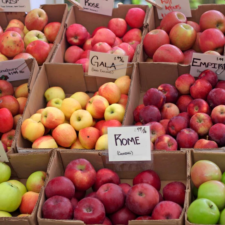 Types of Spring Fruits and Vegetables - Butter N Thyme