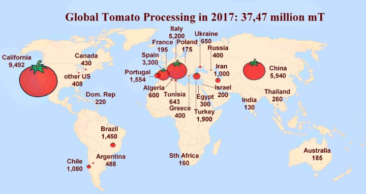 Origins and History of Tomatoes - Butter N Thyme