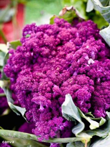 36 Types of Cauliflower: (A-to-Z) Photos - Butter N Thyme