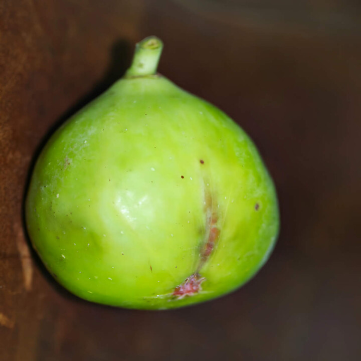 41 Types of Figs: (A-to-Z) Photos - Butter N Thyme