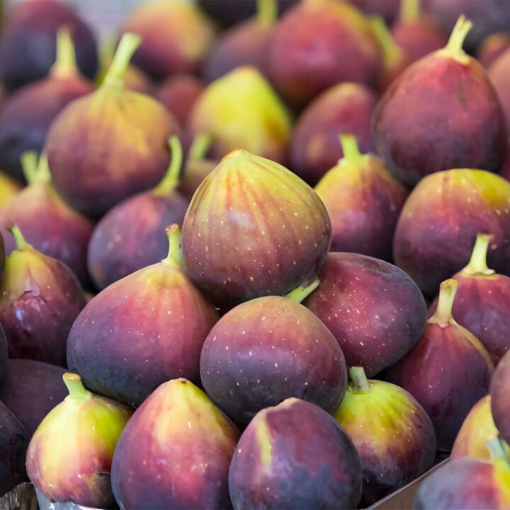 41 Types of Figs: (A-to-Z) Photos - Butter N Thyme